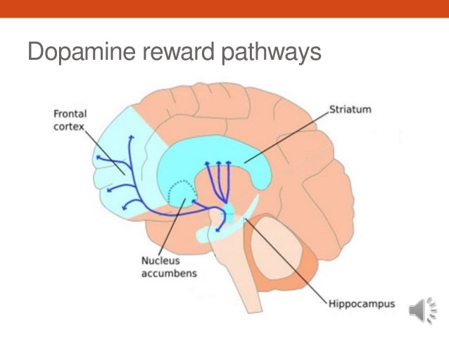 Applying the Science of Questioning and Uncertain Rewards