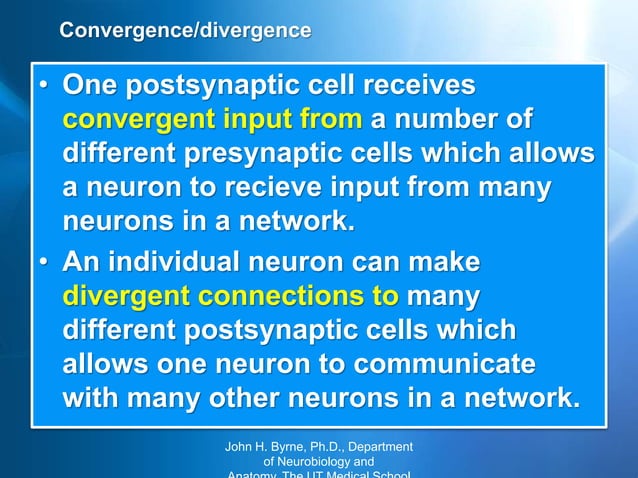 Neuroscience quiz 1 | PPSX | Computer Peripherals | Computing