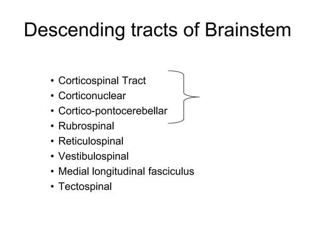 Neuroscience Review | PPT