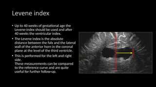 STANDARD PLANES IN NEUROSONOGRAM AND HOW TO AQUIRE THEM | PPTX