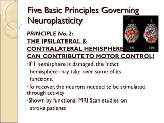 Neuro stroke rehabilitation | PPT