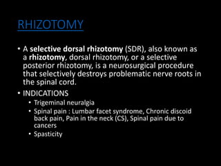 Neuro surgeries (pt) | PDF