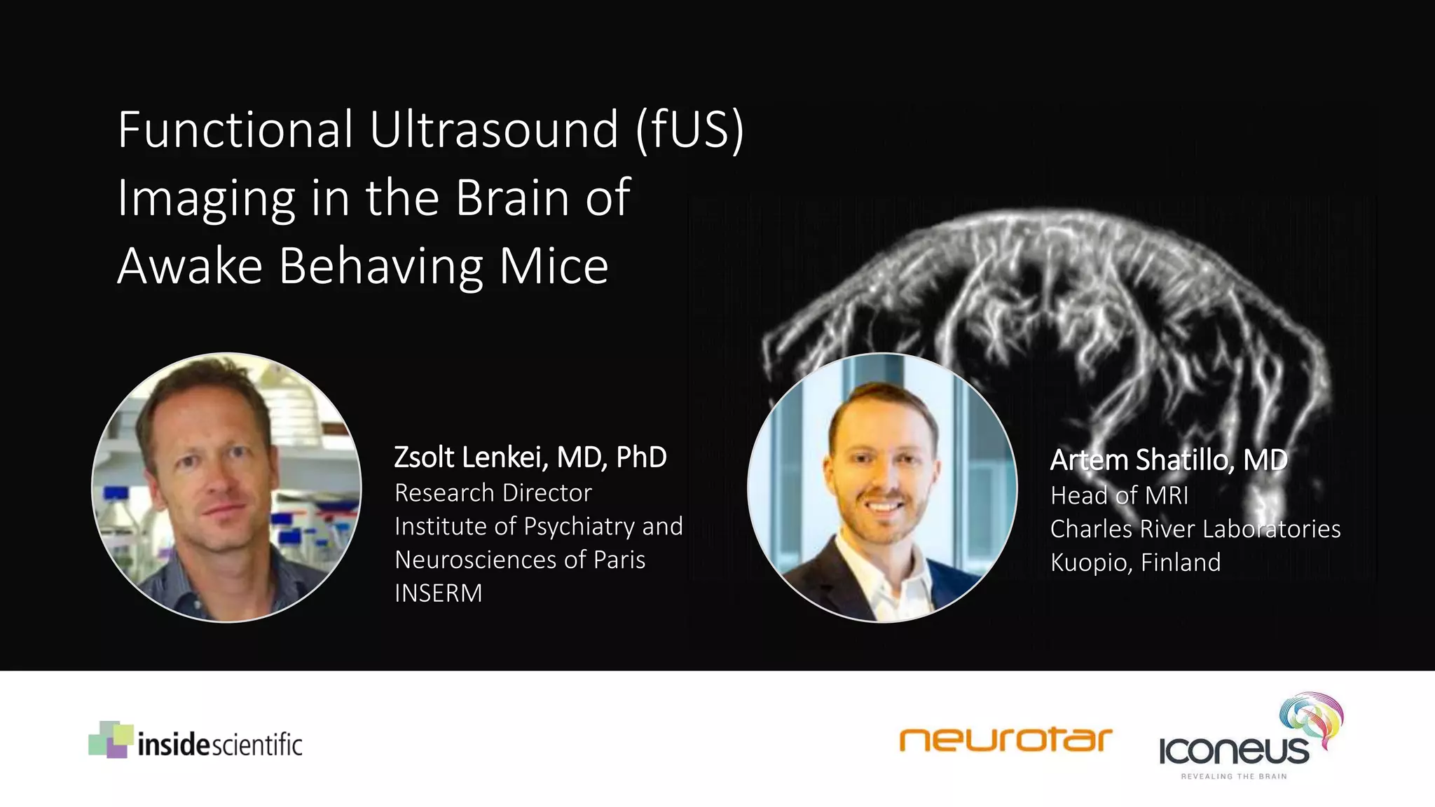 Functional Ultrasound (fUS) Imaging in the Brain of Awake Behaving Mice | PPTX | Brain and ...