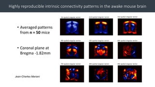 Functional Ultrasound (fUS) Imaging in the Brain of Awake Behaving Mice ...