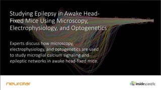 Stellar Minhee Study