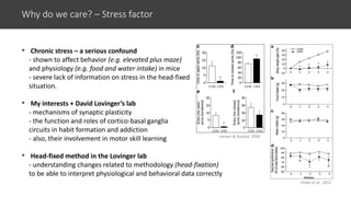 Place Cell Mapping and Stress Monitoring in Head-Fixed Mice Navigating ...