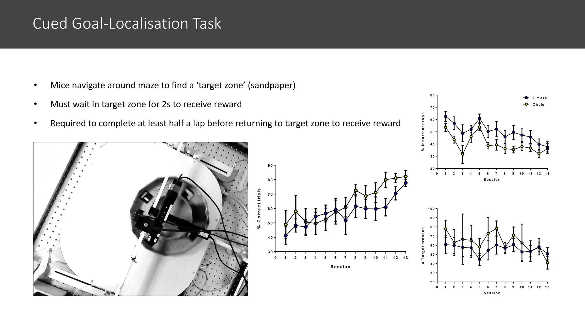 Single-Cell Electrophysiology and 2-Photon Imaging in Awake Mice with ...