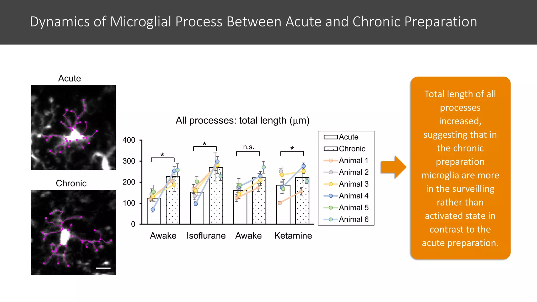Single-Cell Electrophysiology and 2-Photon Imaging in Awake Mice with ...