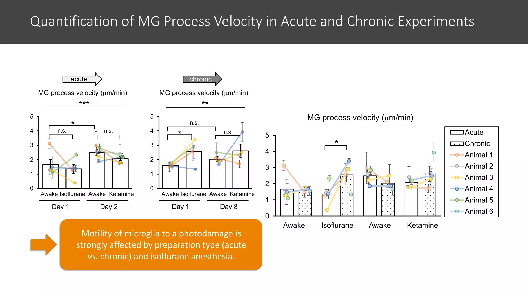 Single-Cell Electrophysiology and 2-Photon Imaging in Awake Mice with ...