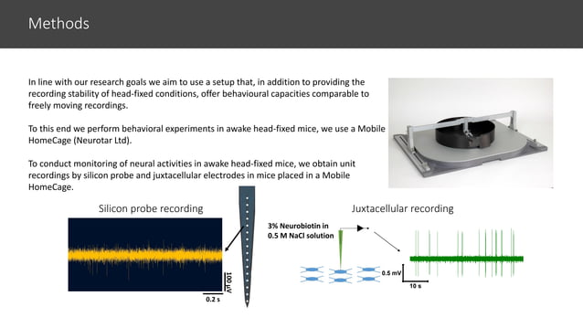Single-Cell Electrophysiology and 2-Photon Imaging in Awake Mice with ...