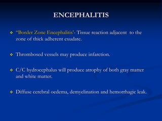 NEUROlogical Tuberculosis management and diagnosis | PPT