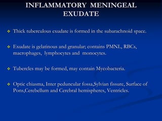 NEUROlogical Tuberculosis management and diagnosis | PPT