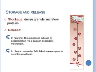 Neurotensin presentation | PPTX