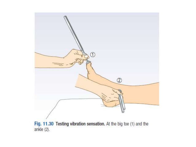 neuro test.pptx | Free Download