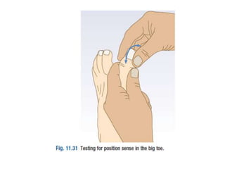neuro test.pptx