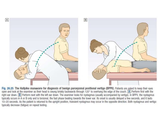 neuro test.pptx | Free Download