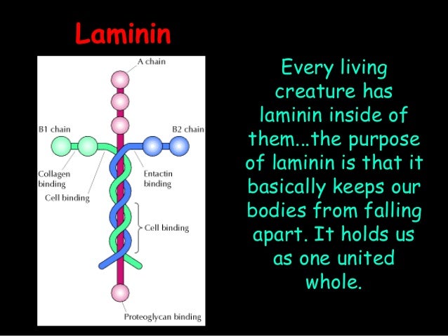 Neurotheology and Spirituality