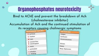 Neurotoxic Drugs.pdf