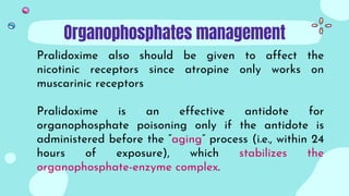 Neurotoxic Drugs.pdf
