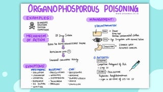 Neurotoxic Drugs.pdf