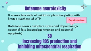 Neurotoxic Drugs.pdf