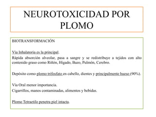 Neurotoxicidad por plomo y arsénico | PDF