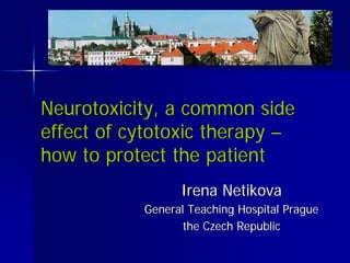 Neurotoxicity | PDF | Brain and Nervous System Disorders | Diseases and ...