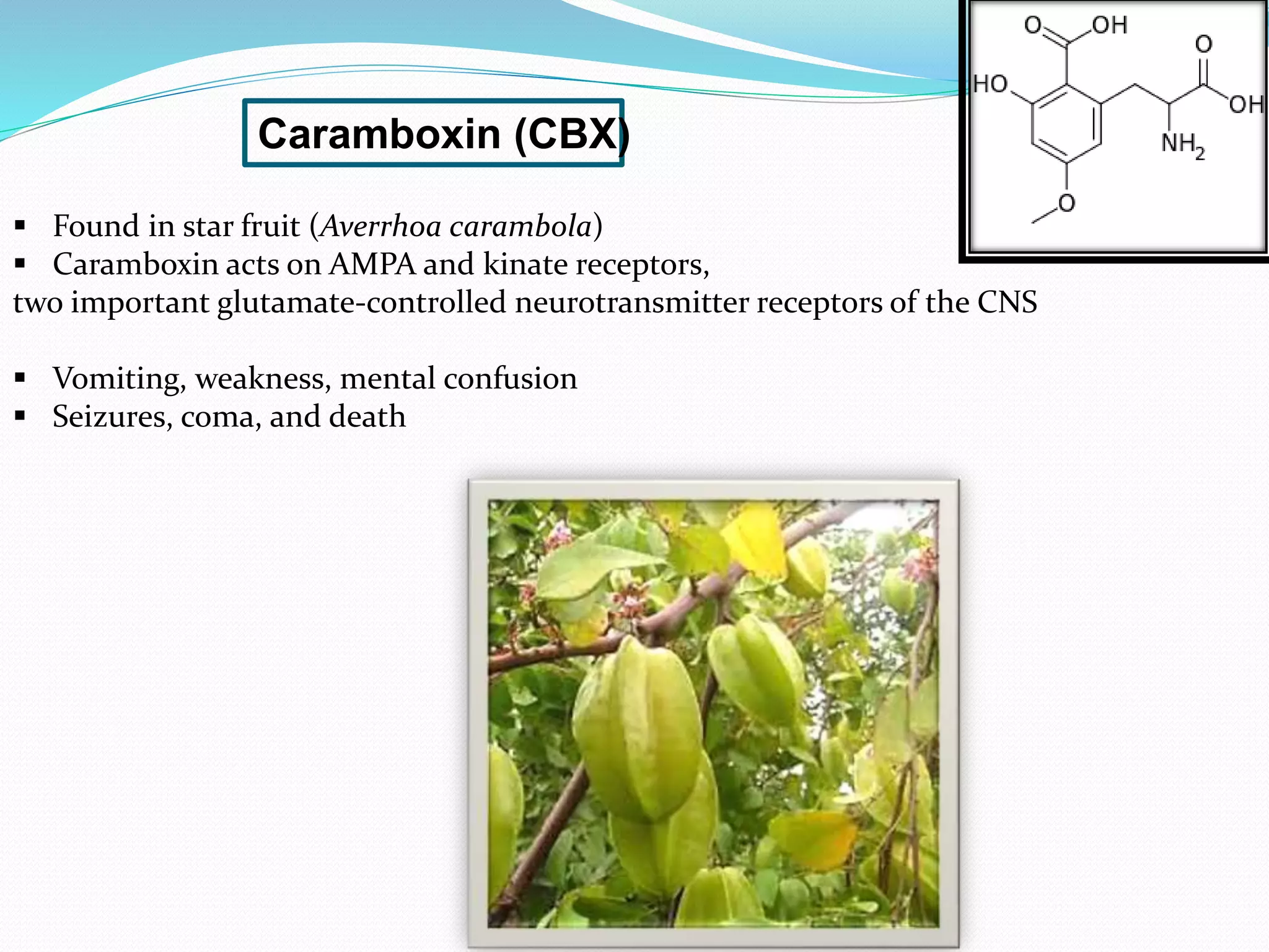 Neurotoxicity and its evaluation | PPTX