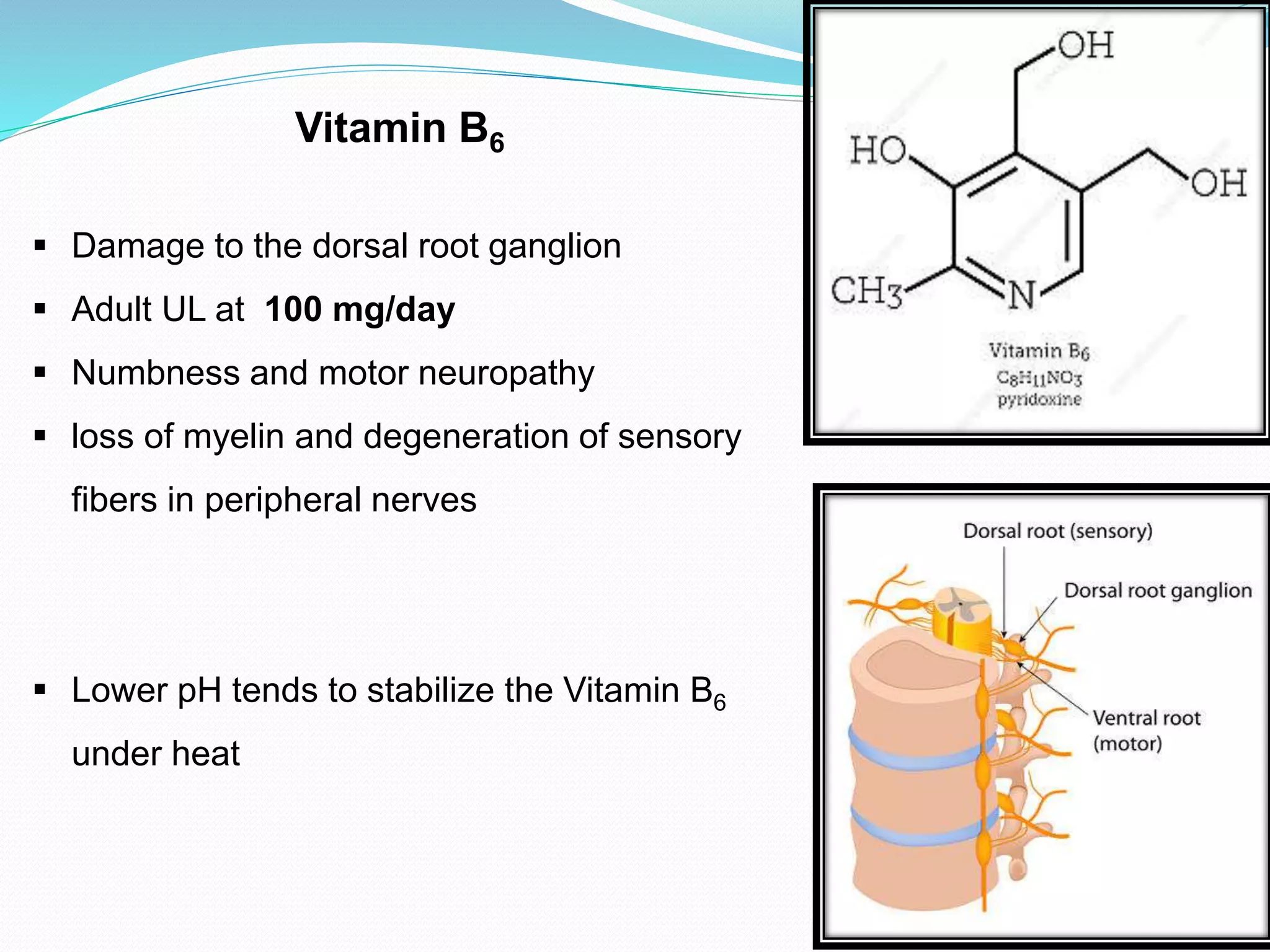 Neurotoxicity and its evaluation | PPTX