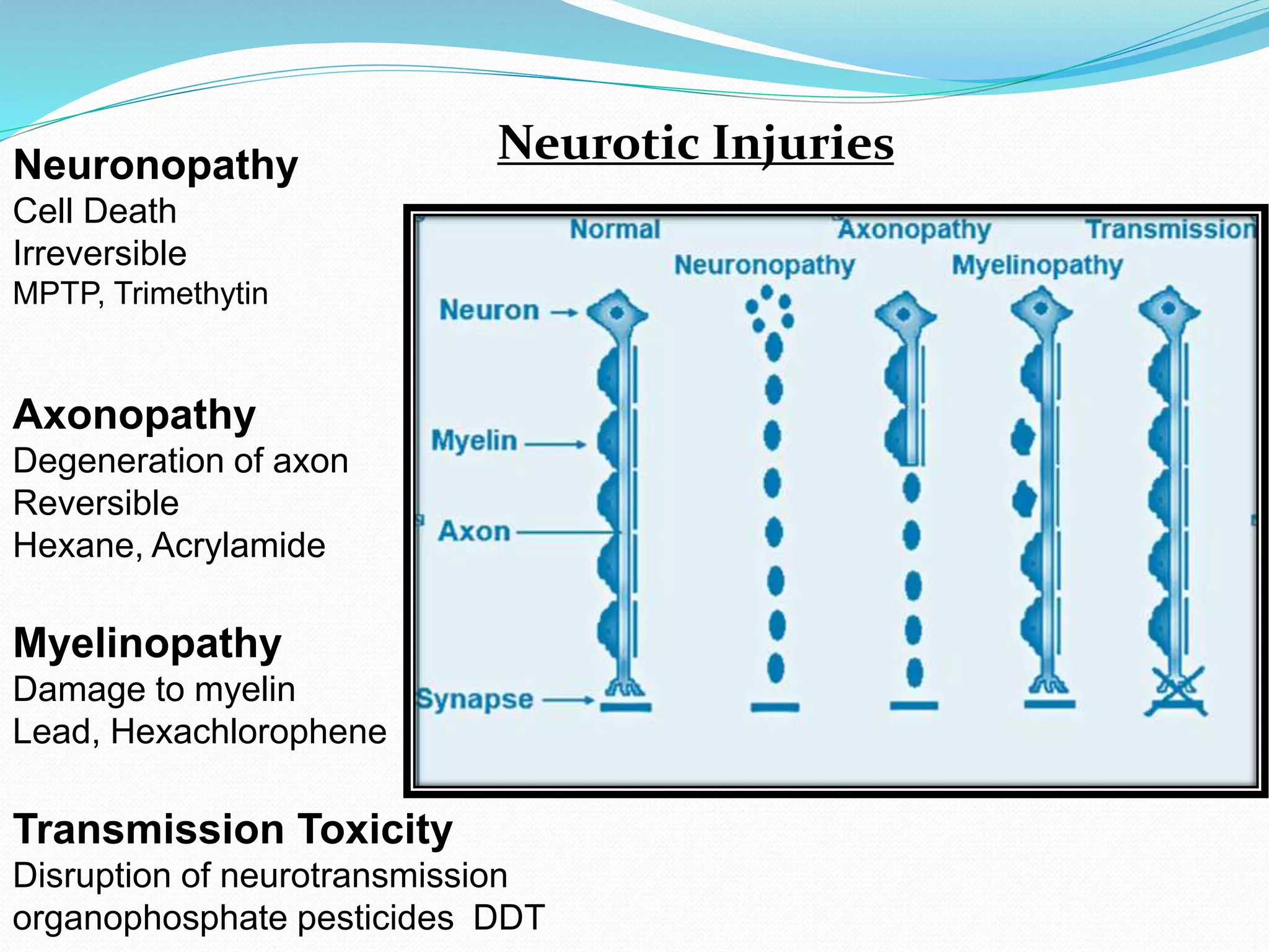 Neurotoxicity and its evaluation | PPTX