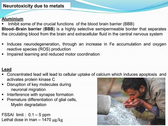 Neurotoxicity and its evaluation | PPTX | Brain and Nervous System ...