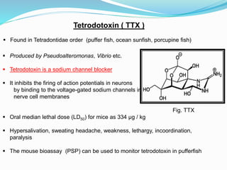 Neurotoxicity and its evaluation | PPTX