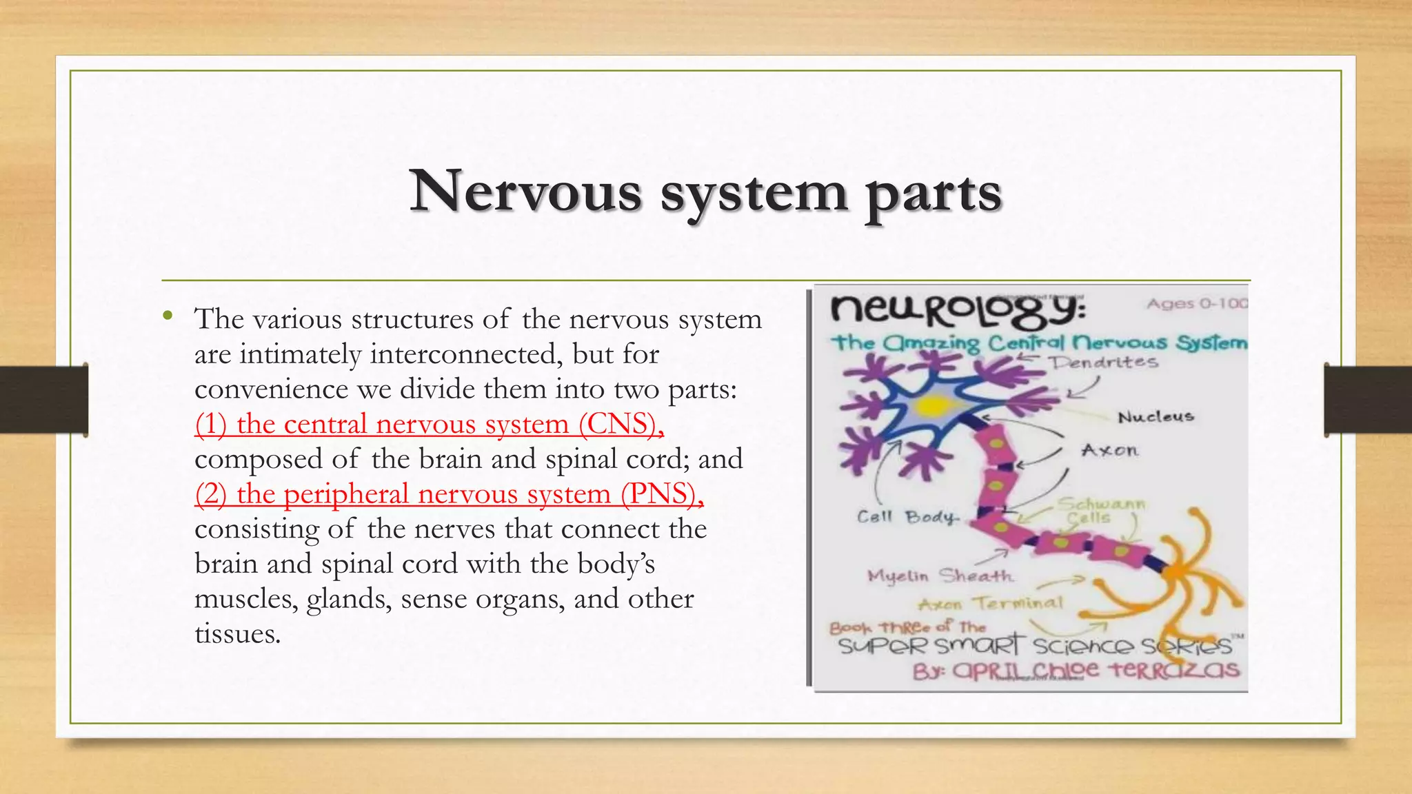 Neurotoxicity | PPTX