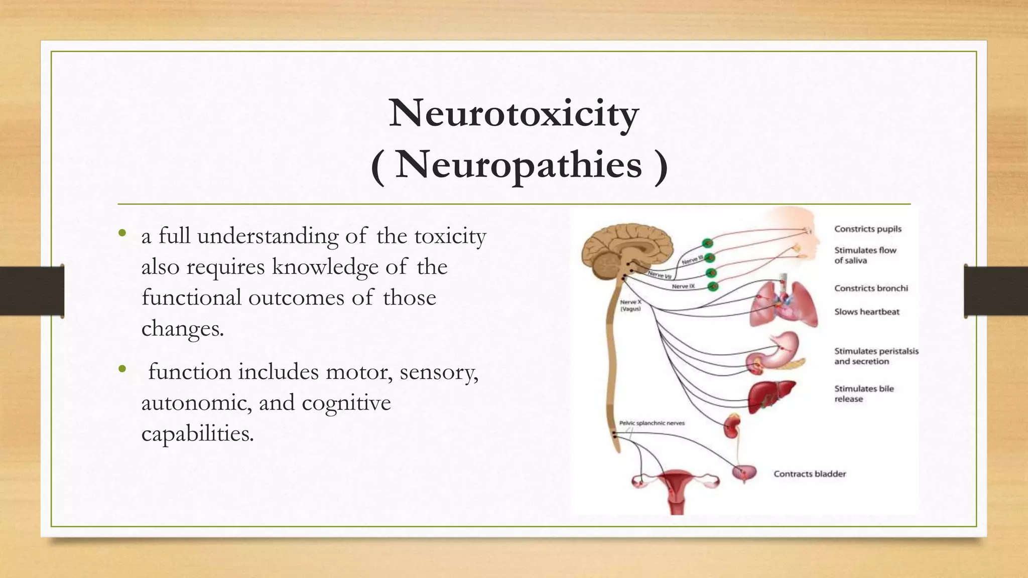 Neurotoxicity | PPTX