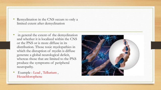 Neurotoxicity | PPTX | Brain and Nervous System Disorders | Diseases ...