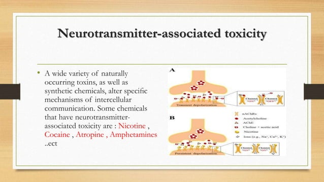 Neurotoxicity | PPTX | Brain and Nervous System Disorders | Diseases ...