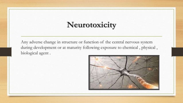 Neurotoxicity | PPTX | Brain and Nervous System Disorders | Diseases ...