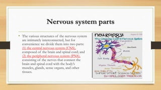 Neurotoxicity | PPTX