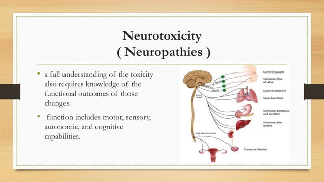 Neurotoxicity | PPTX | Brain and Nervous System Disorders | Diseases ...