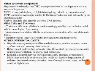Neurotoxicity.pptx principles of toxicology M pharm | PPTX