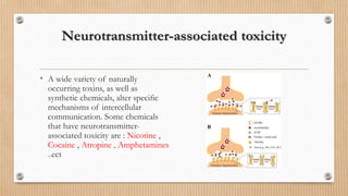 Neurotoxicity (xenobiotic affecting nervous system) | PPT