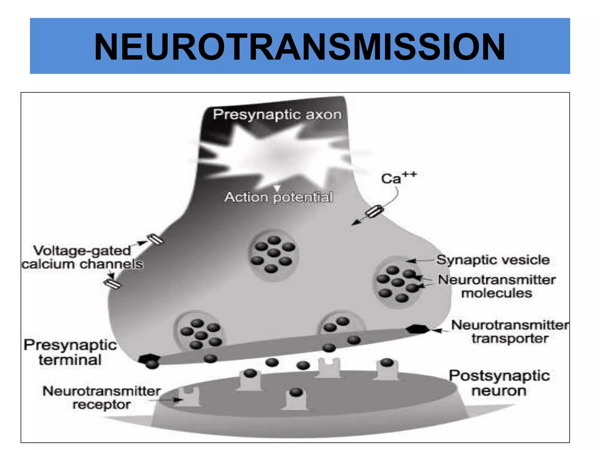 Neurotoxicity & Cytotoxicity | PPTX