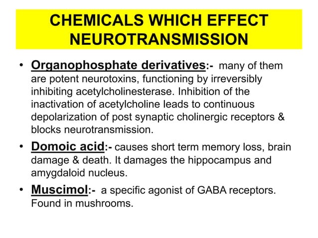 Neurotoxicity & Cytotoxicity | PPTX | Brain and Nervous System ...