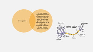 Neurotoxicologia.pptx