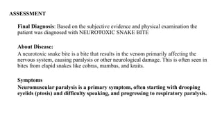 A case presentation on Neurotoxic Snake Bite and Treatment | PPTX