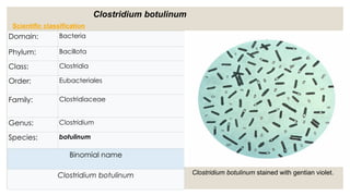 NEUROTOXIN types and occurance and diseases.pptx.pptx