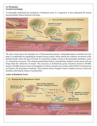 Neurotoxins in Food | PDF