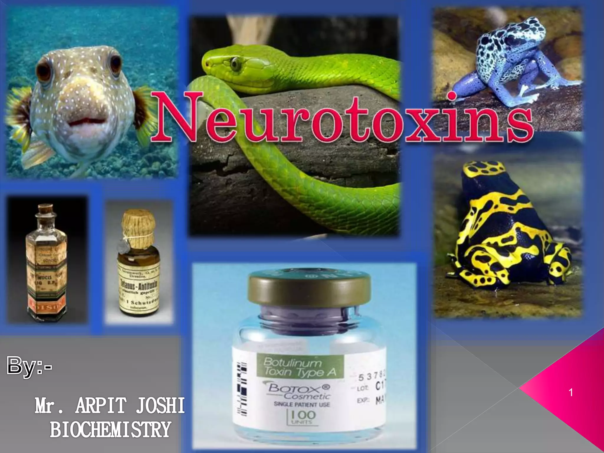 Neurotoxins | PPTX