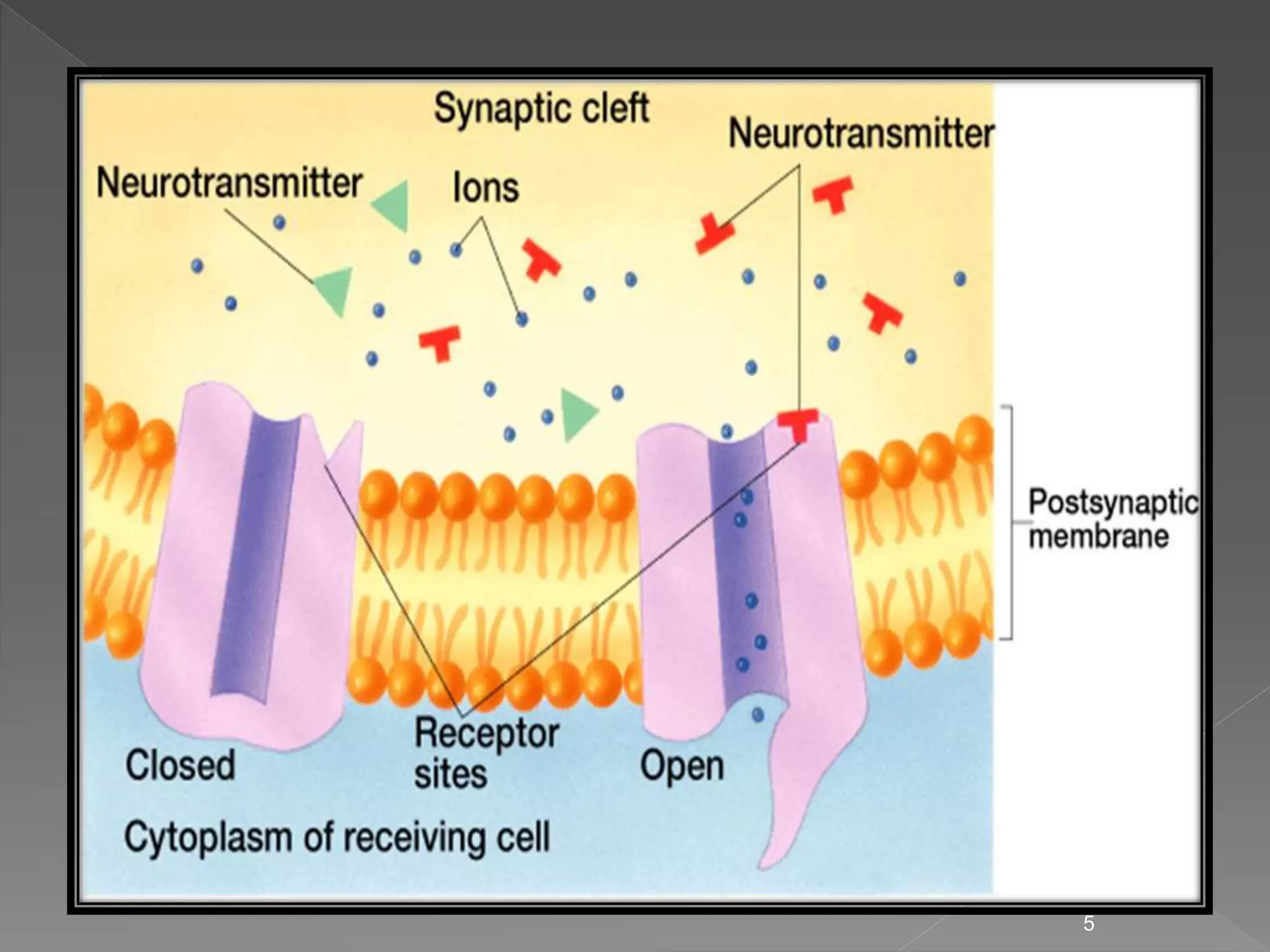 Neurotoxins | PPTX