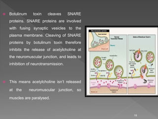 Neurotoxins | PPTX